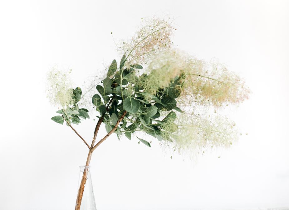 Gifts – Tagged "Religious"– Simply Susan’s